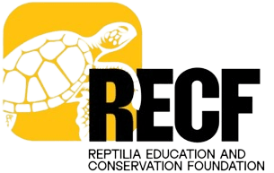 RECF
